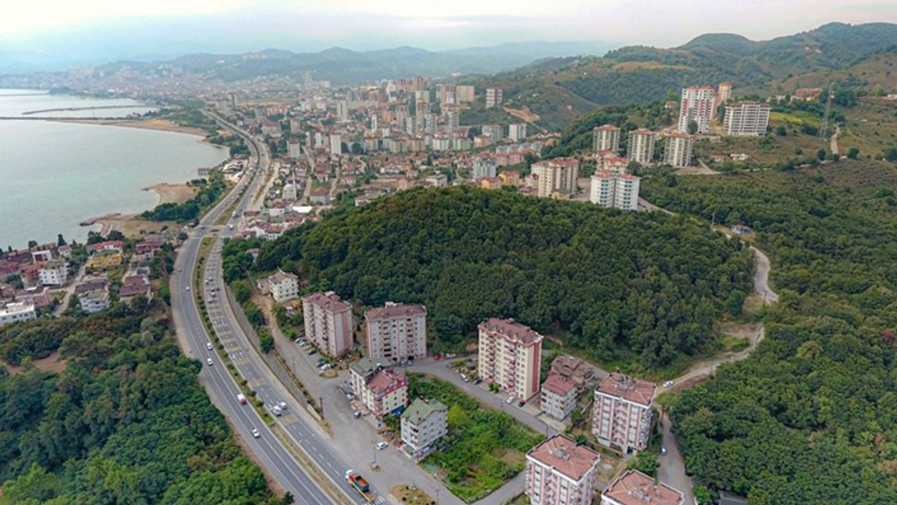 Cumhurbaşkanlığı kararıyla doğa katliamı: Şehrin ortasındaki ormanlık ...