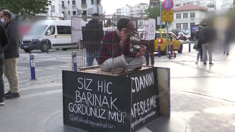 Sokak hayvanları için dikkat çeken eylem: Erdoğan'ın sözlerine böyle ... Sokak hayvanları için dikkat çeken eylem: Erdoğan'ın sözlerine böyle ...